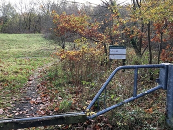 Tudhoe Mill Wood | Durham