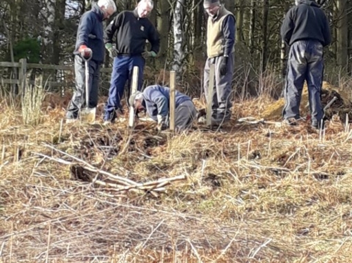 Creating a hibernacula | Durham