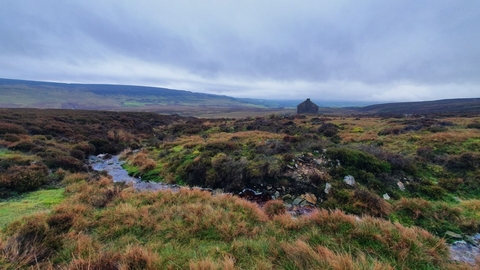 A project update from Cuthbert's Moor | Durham