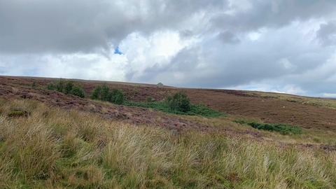 Cuthbert's Moor | Durham