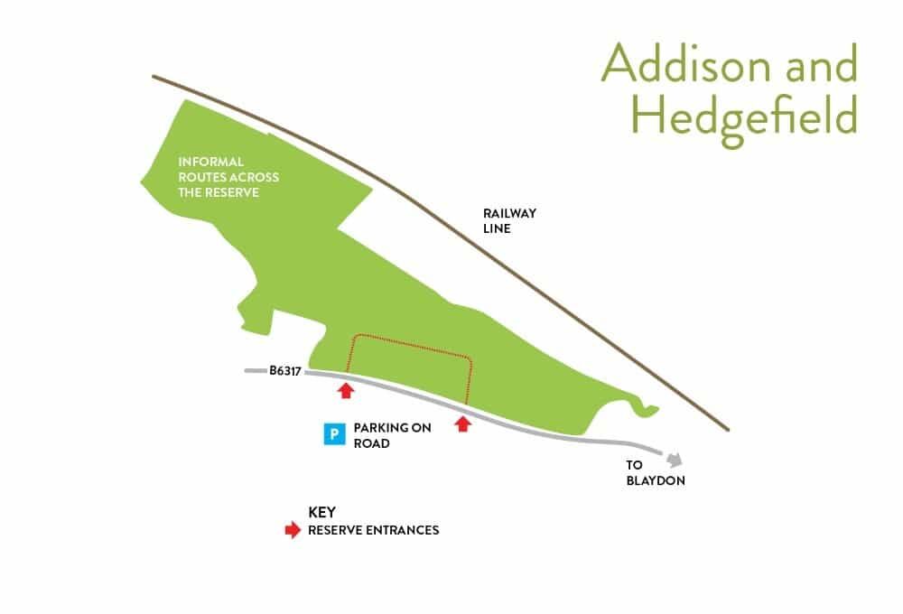 Addison and Hedgefield | Durham