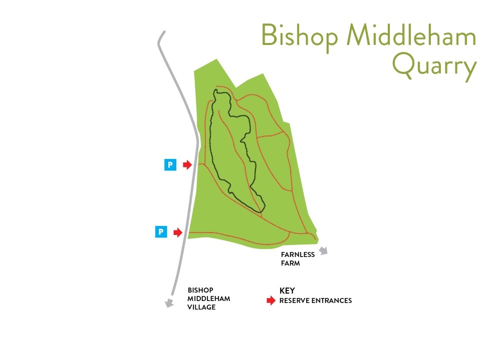 Bishop Middleham Quarry | Durham