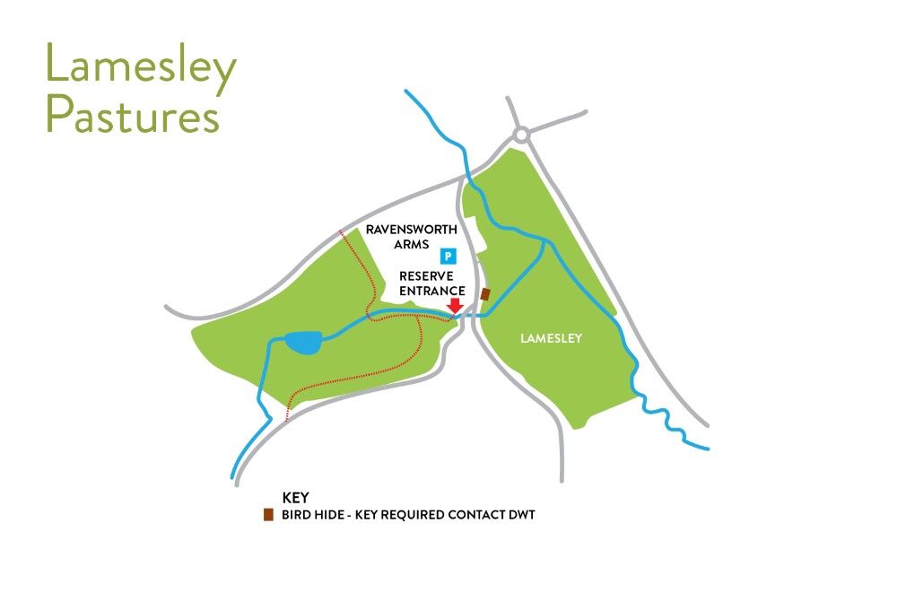 Lamesley Pastures | Durham