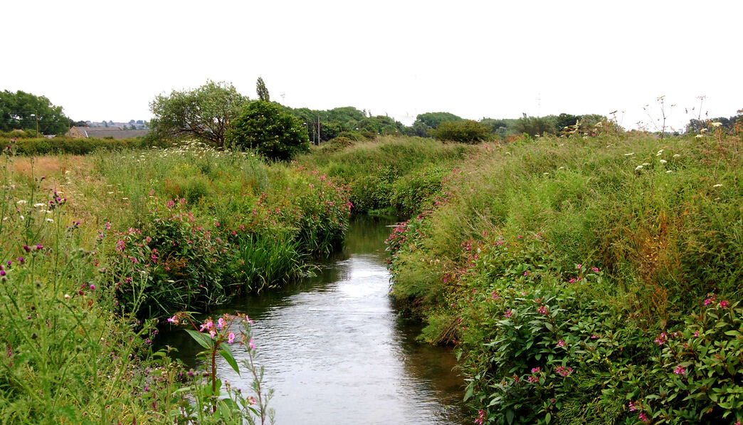 Lamesley Pastures | Durham