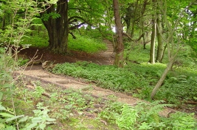 Hawthorn Dene | Durham