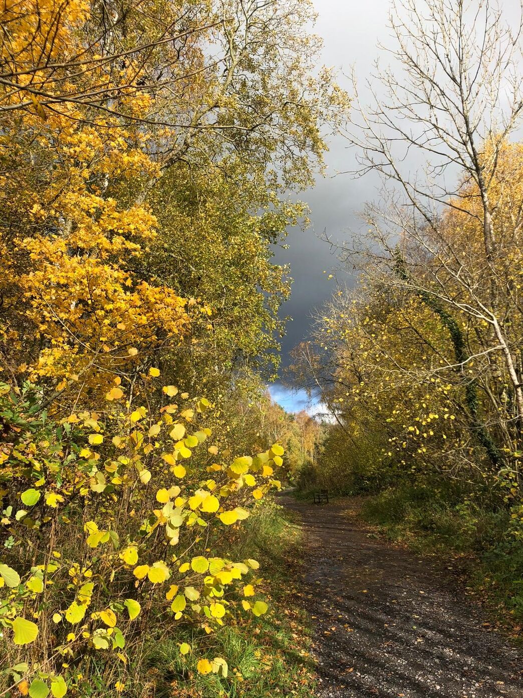 A mindful walk in nature at Low Barns Nature Reserve | Durham