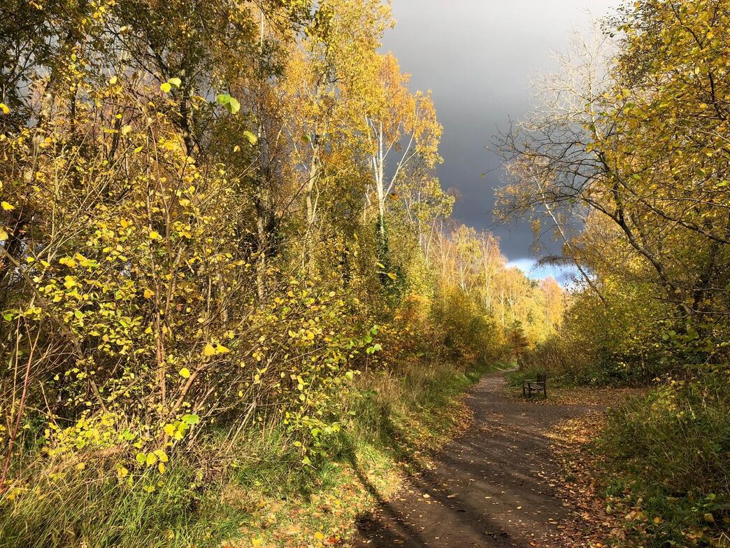 A mindful walk in nature at Low Barns Nature Reserve | Durham