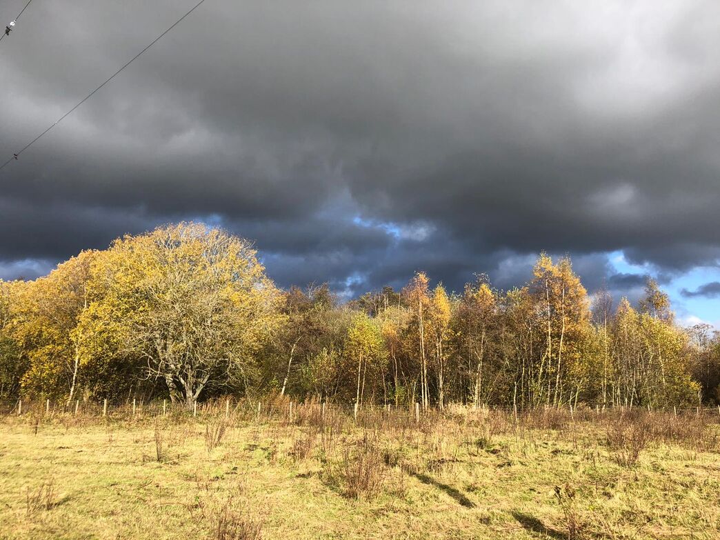 A mindful walk in nature at Low Barns Nature Reserve | Durham