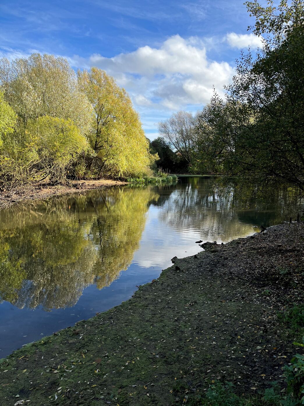 Transforming Brinkburn Pond | Durham