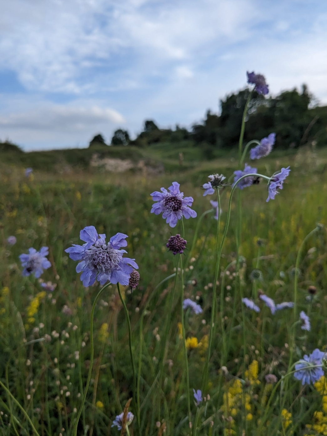 The Magnesian Limestone: The North East’s Underlying Treasure | Durham