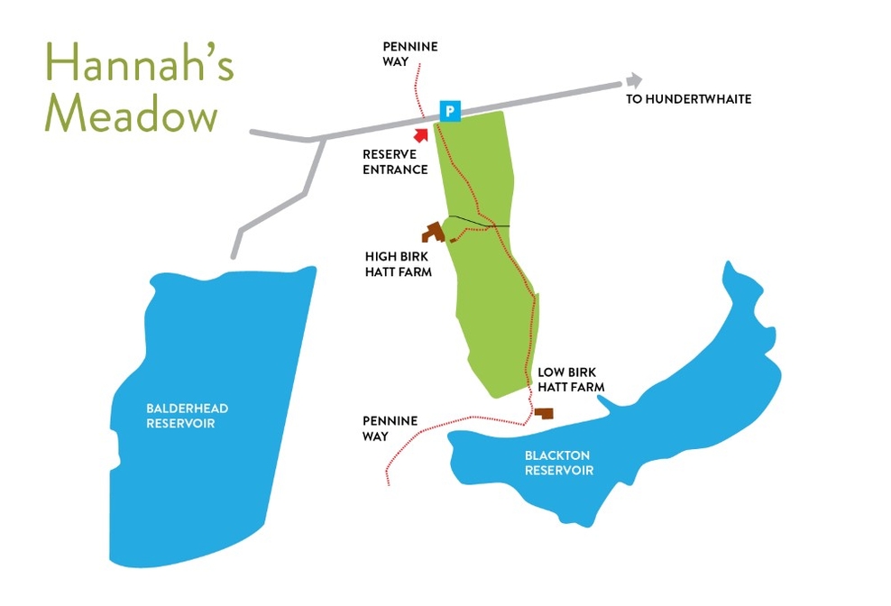 Hannah's Meadow | Durham