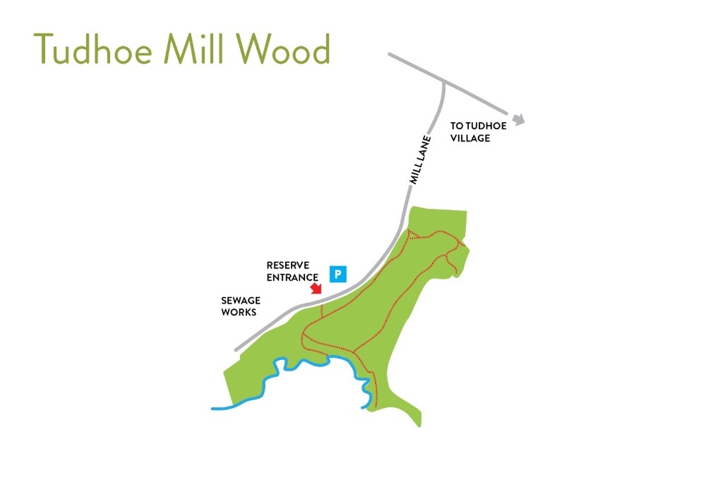 Tudhoe Mill Wood | Durham