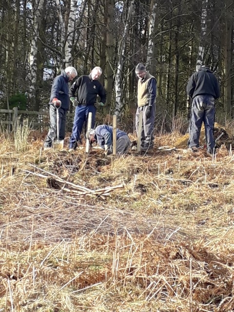 Creating a hibernacula | Durham