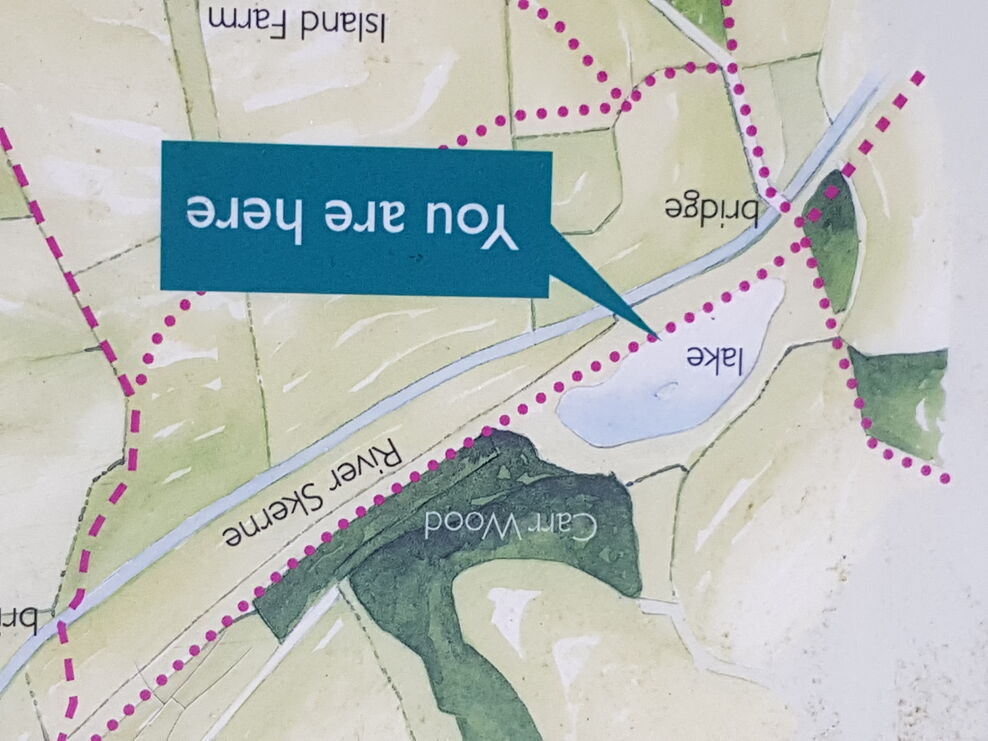Lake restoration near Bishop Middleham | Durham