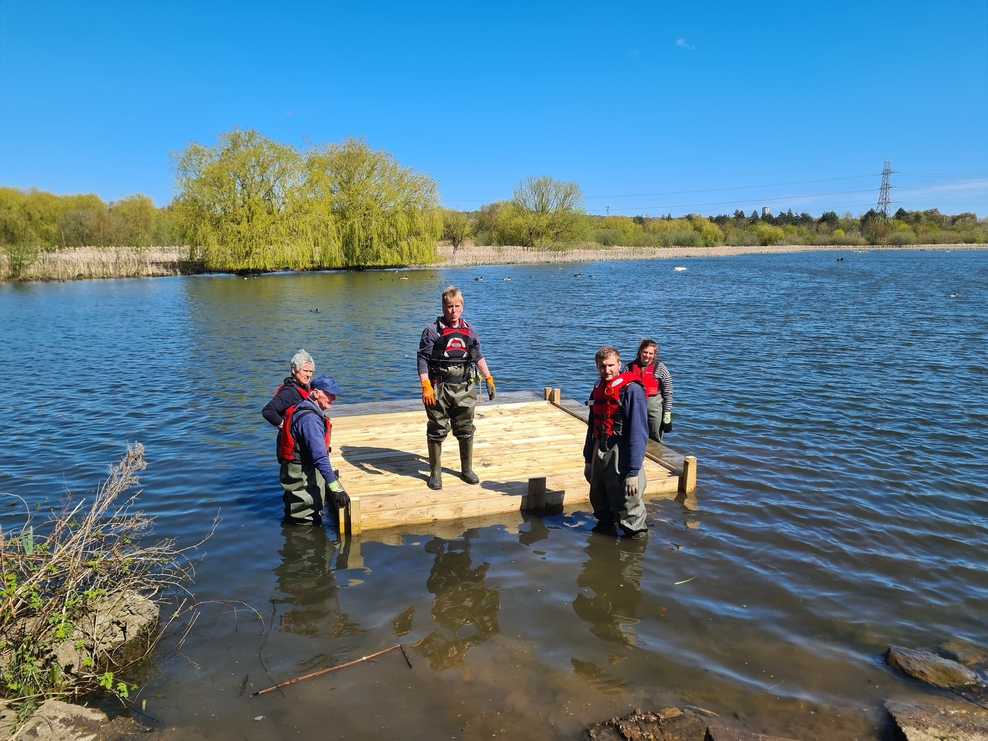 A raft of work at Shibdon Pond Nature Reserve | Durham