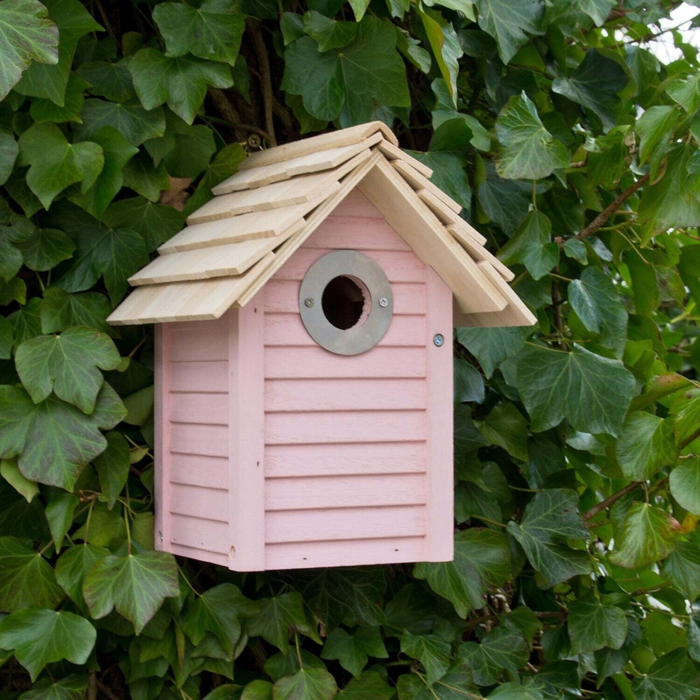National Nest Box Week | Durham