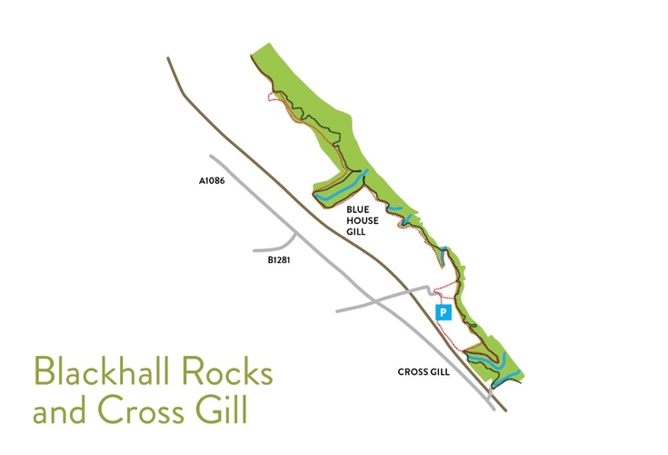 Blackhall Rocks & Cross Gill | Durham