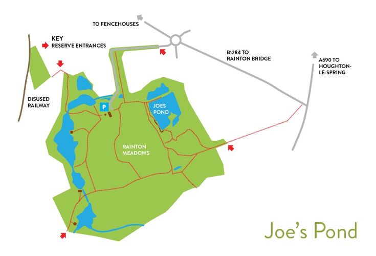 Joe's Pond | Durham