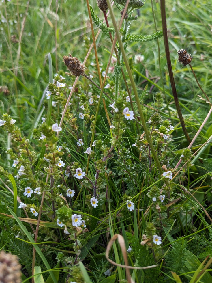 The Magnesian Limestone: The North East’s Underlying Treasure | Durham