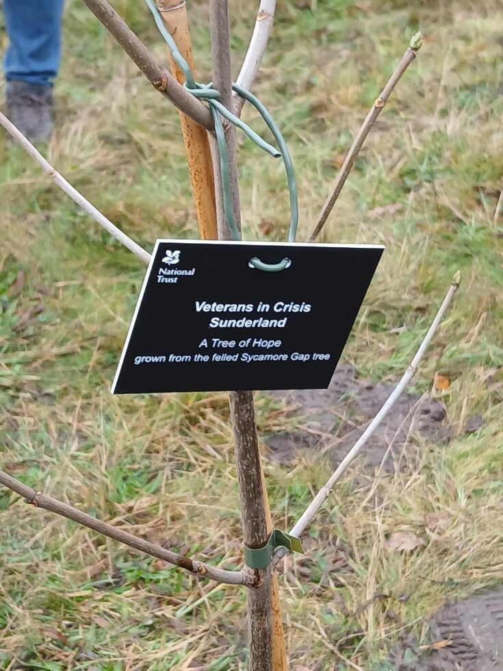 Tree of Hope planted in Hetton Lyons Country Park | Durham