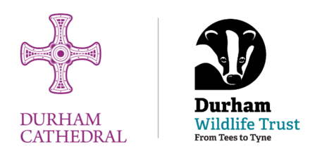 Durham riverbanks | Durham