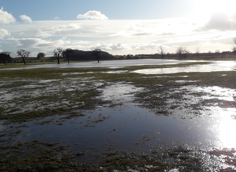 Bishop Middleham Quarry | Durham